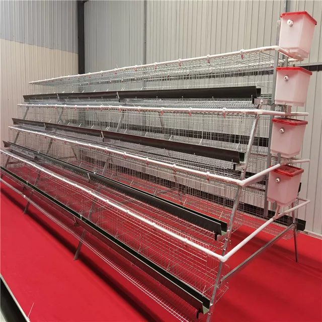 Layer Cages – Brio Hatcheries