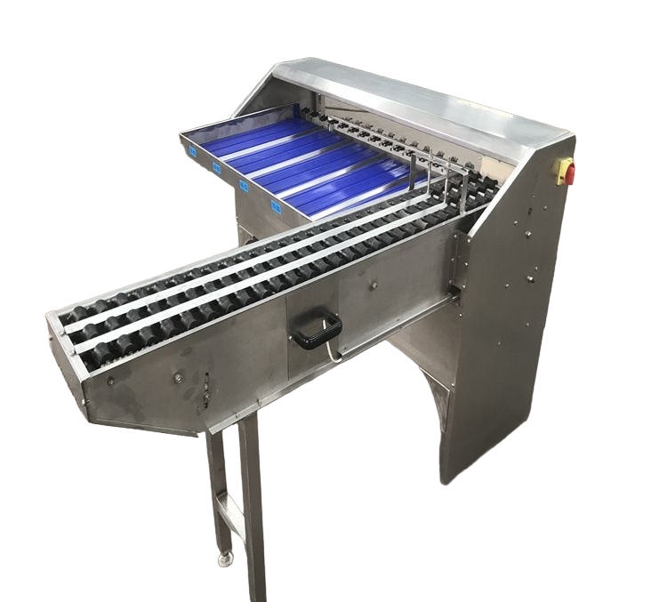 Egg sorting machine 6000/hr – Brio Hatcheries