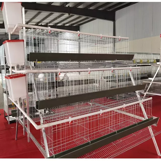 Layer Cages A-FRAME – Brio Hatcheries