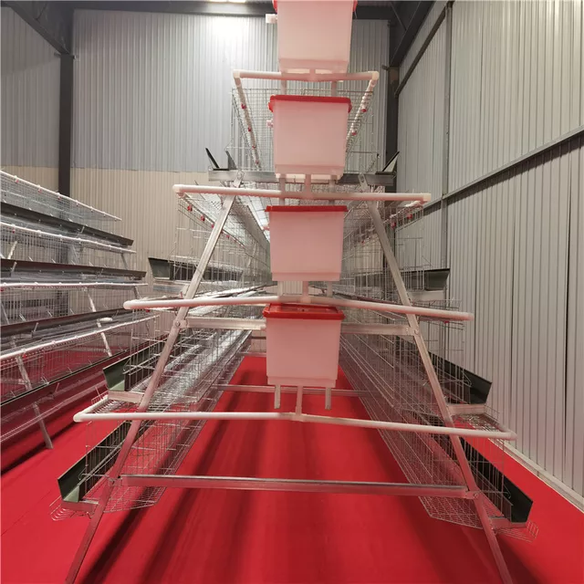 Layer Cages – Brio Hatcheries